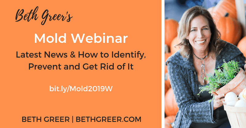 Mold: How to Identify, Prevent and Get Rid of It - 2019 Webinar with ...